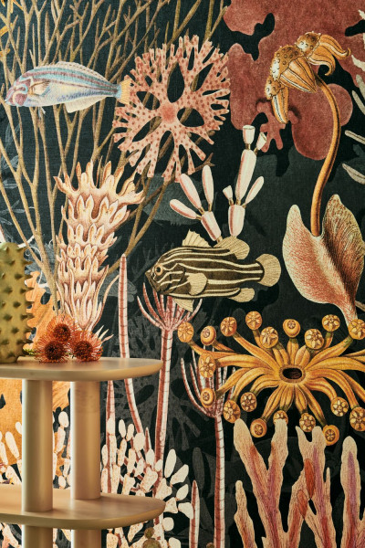 Discover the products of the collection